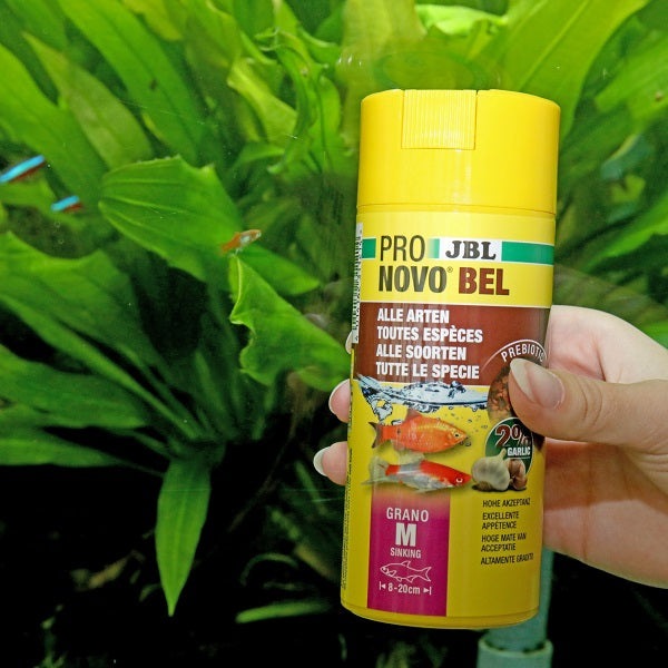 ProNovo Bel Grano M JBL - Aliment de base en granulés pour poissons d'