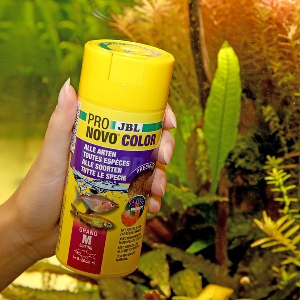 ProNovo Color Grano M JBL - Aliment de base en Granulés pour poissons