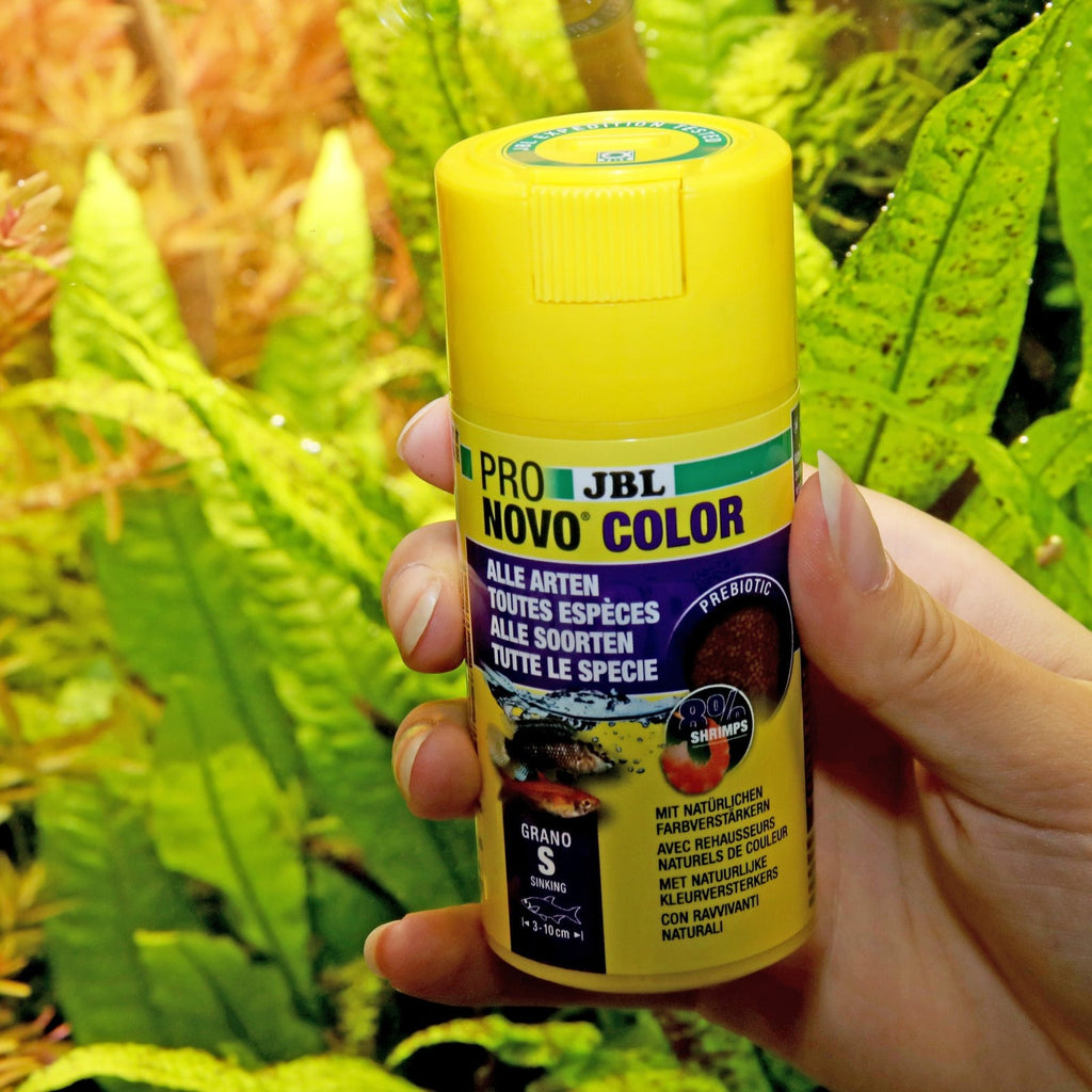 ProNovo Color Grano S JBL - Aliment de base en Granulés pour poissons