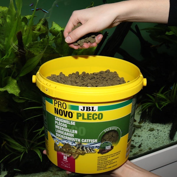 ProNovo Pleco M JBL - Aliment de base pour grands plécos de 1 à 20 cm