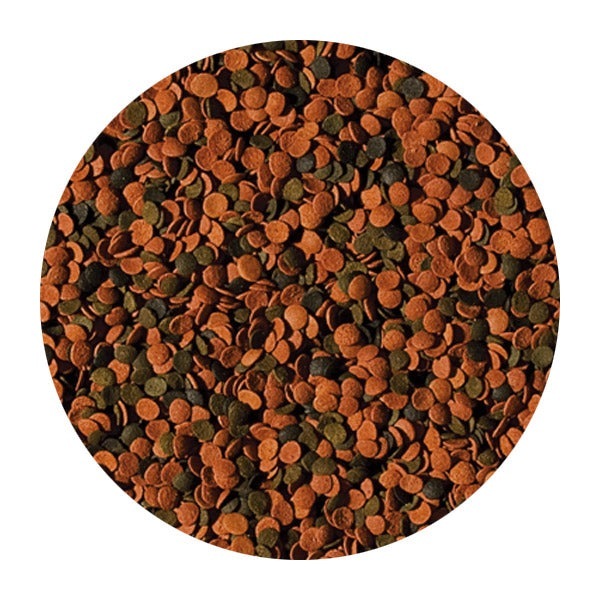 BioNautic Chips TROPICAL - 250 ml