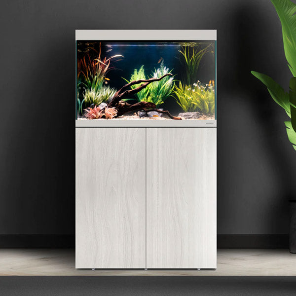 Aquarium Eden 40 Aspen WATERBOX - 150 L – Bao Aquarium