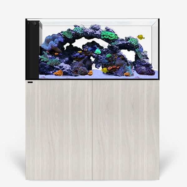 Peninsula 4820 Blanc WATERBOX - Aquarium Marin 300 L – Bao Aquarium