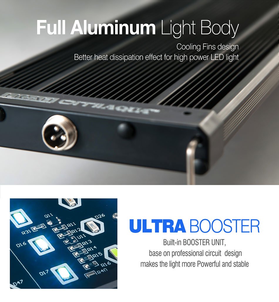 Rampe LED Récifal LICAH - STD-2000 – Bao Aquarium
