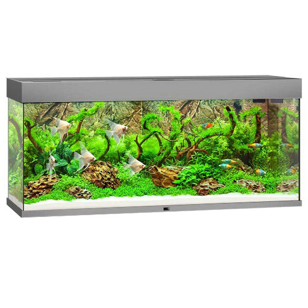 Aquarium Rio 240 LED Gris Équipé JUWEL - 240L – Bao Aquarium