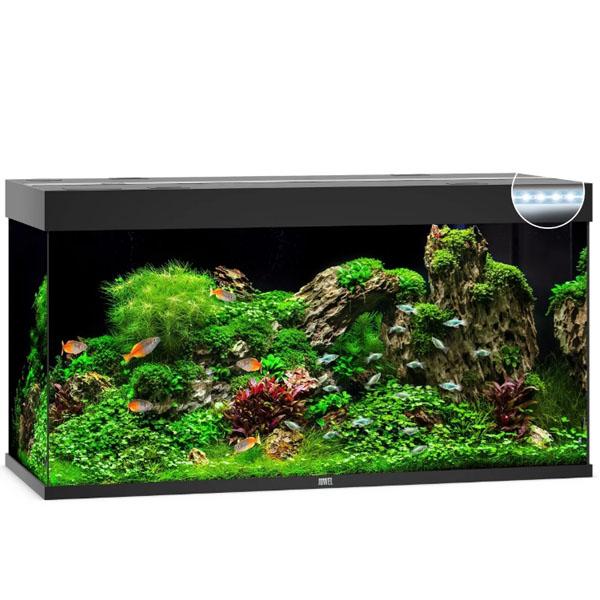 Aquarium Rio 350 LED Noir Équipé JUWEL - 350L – Bao Aquarium